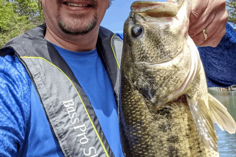 6 Tips to Become a Better Bass Angler – Fast! – The Bass Fishing Life