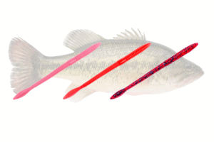 6 Steps to Fish a Floating Worm in the Spring – The Bass Fishing Life