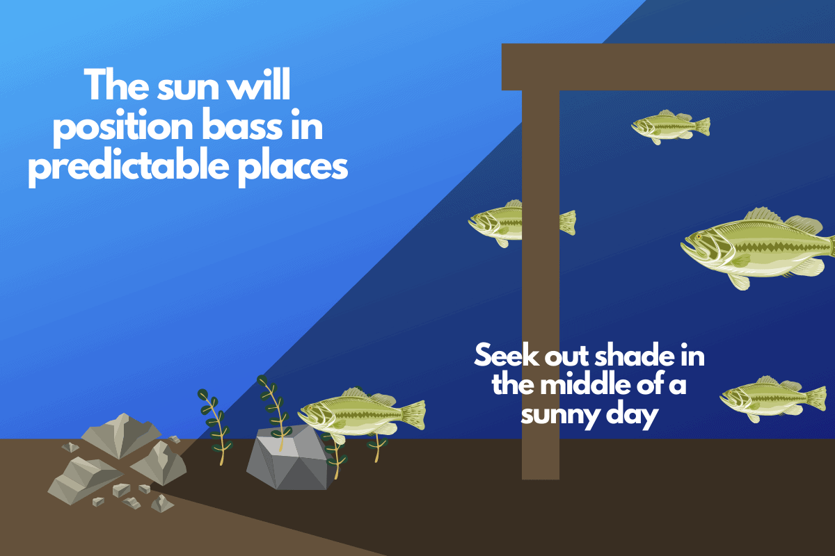 The Best Time to Bass Fish Based on Presentation – The Bass Fishing Life