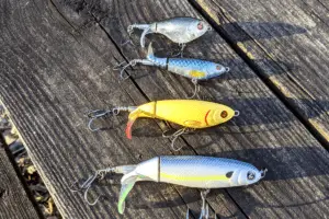 How to Select the Right Whopper Plopper – The Bass Fishing Life