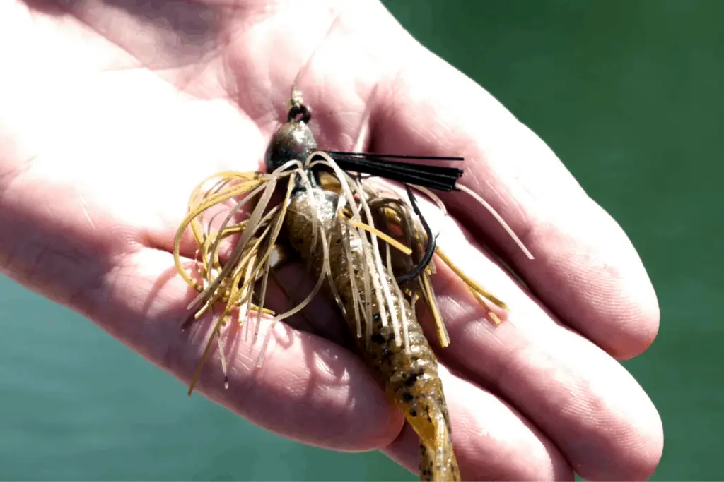 Where Do Bass go in the Winter? – The Bass Fishing Life