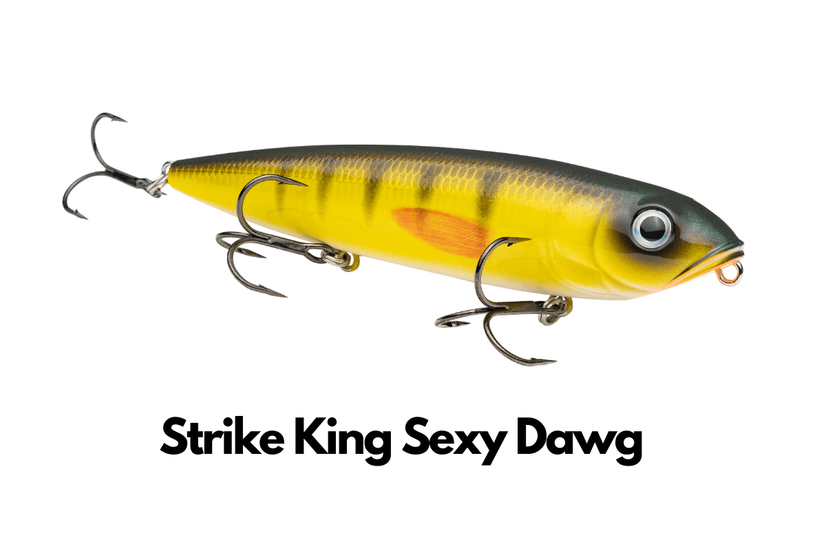 Color Choice for Topwater Lures: 4 That Always Work – The Bass Fishing Life