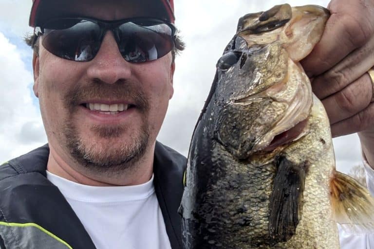 What Triggers Bass to Bite – Two Proven Methods – The Bass Fishing Life