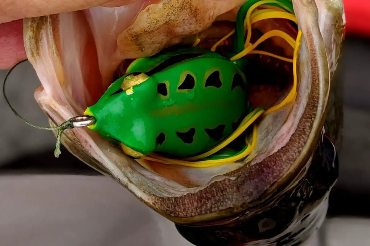 Four Easiest Lures to Skip – With Video Examples – The Bass Fishing Life