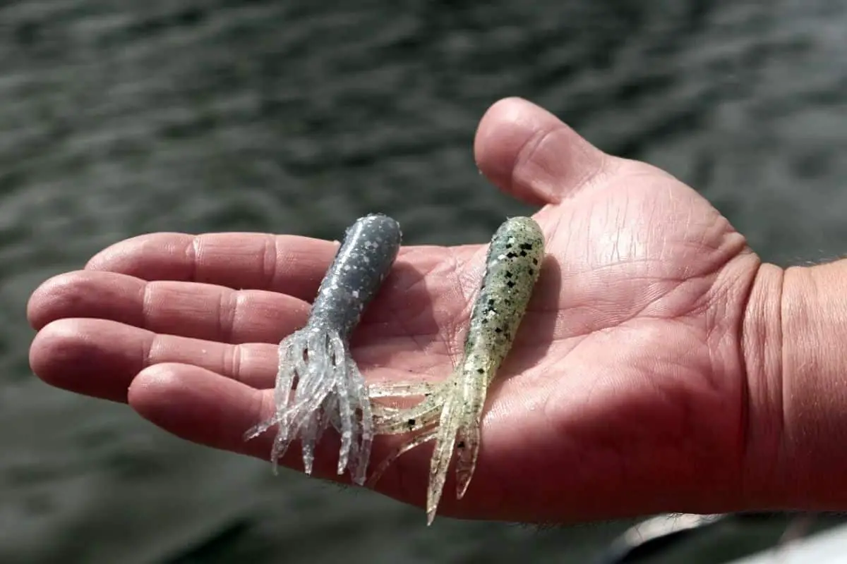 Four Easiest Lures to Skip – With Video Examples – The Bass Fishing Life