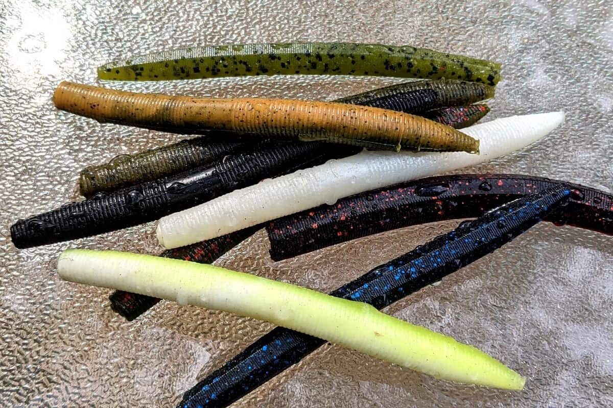 Best Colors for Senkos and Why – Four You Must Have – The Bass Fishing Life
