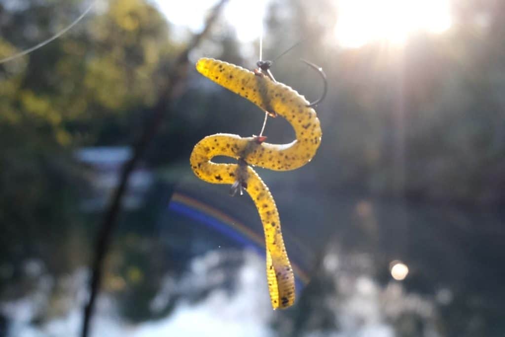 The Inu Rig – How to Rig Plus Underwater Images – The Bass Fishing Life