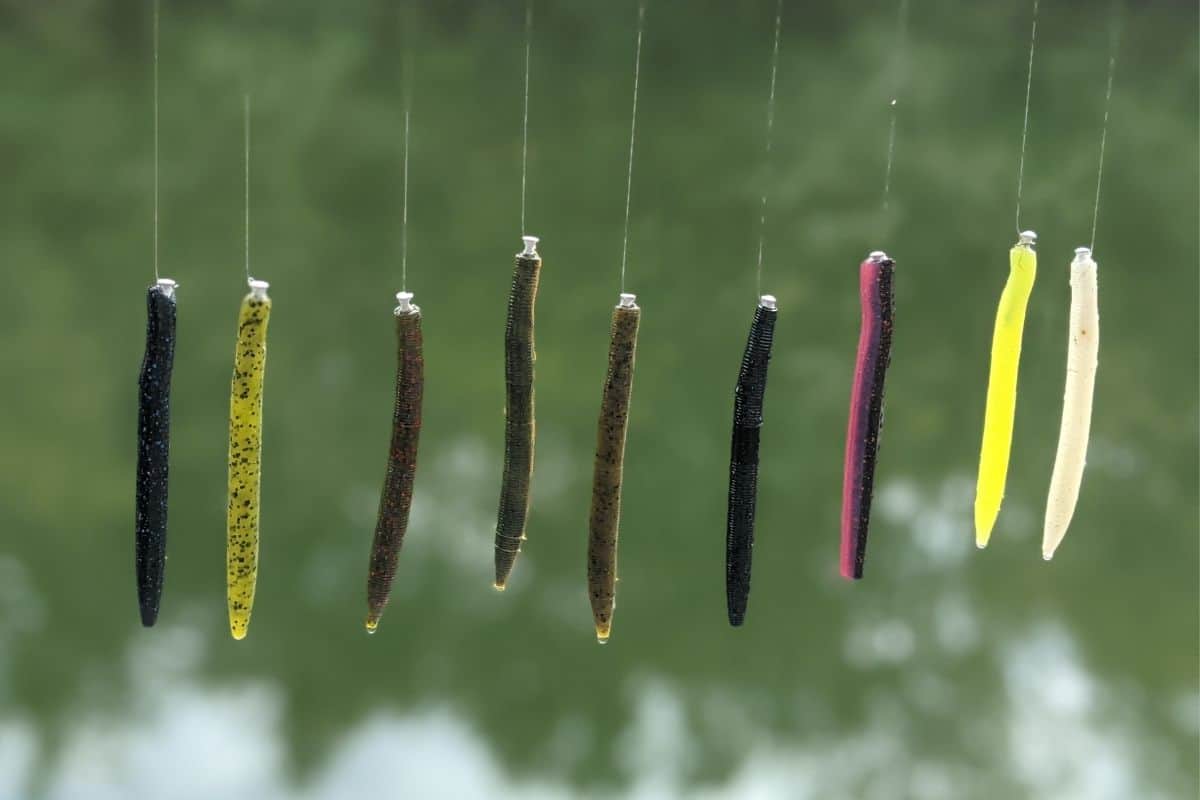 What Color Worms are Best for Bass Fishing? Four That You Need – The ...