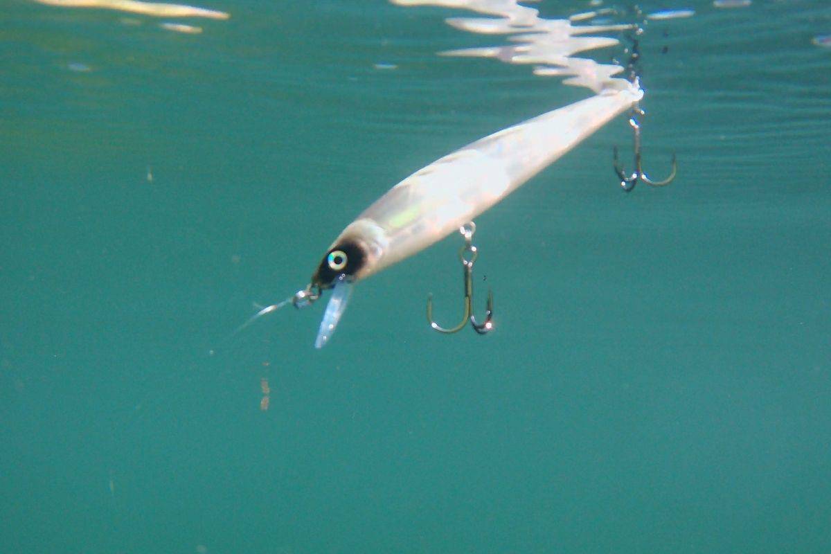 Suspending-Jerkbait – The Bass Fishing Life
