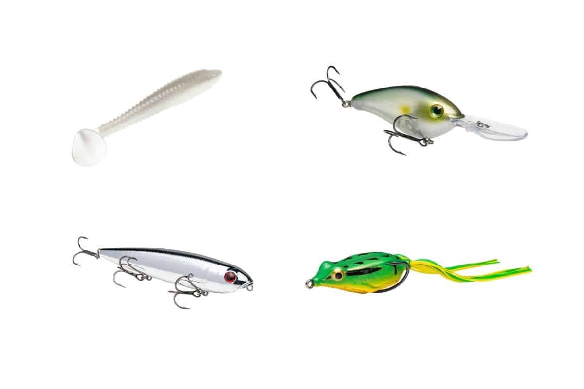 What Makes Bass Fishing Different – Why Bass Fishing is so Popular ...
