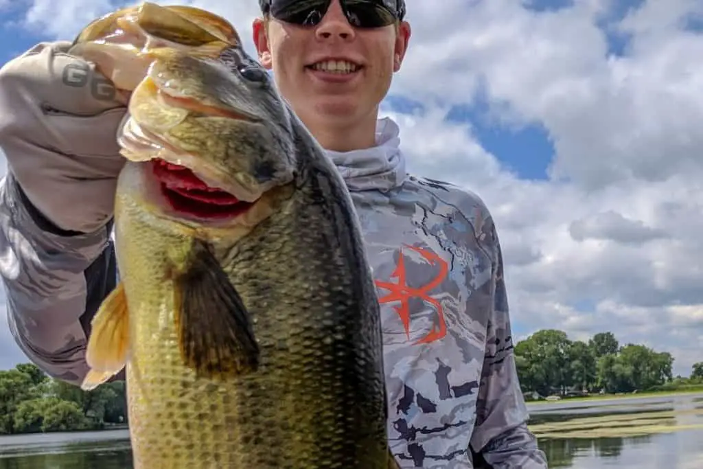 Do Bass Change Color? – The Bass Fishing Life