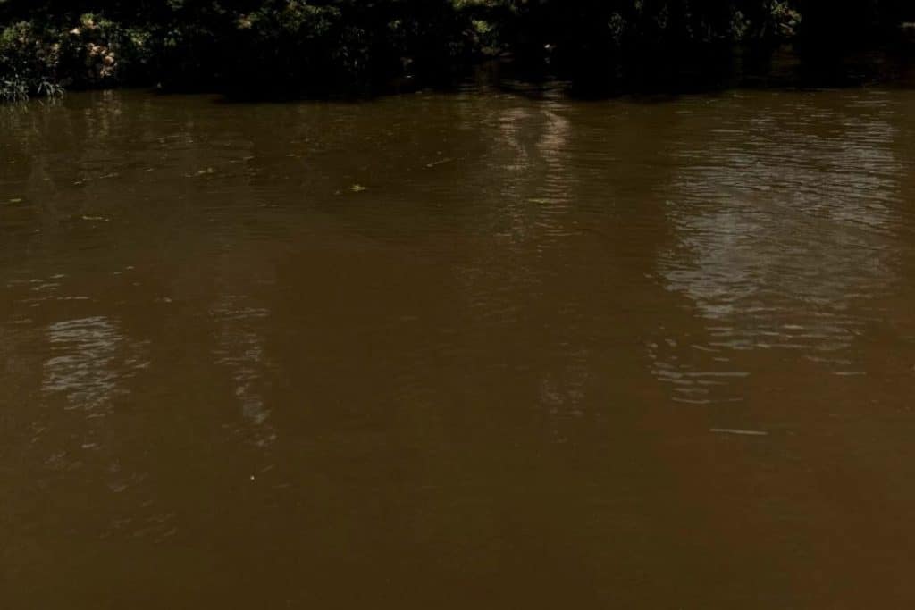 Catching Bass in Murky Water – Where to Find Them – The Bass Fishing Life