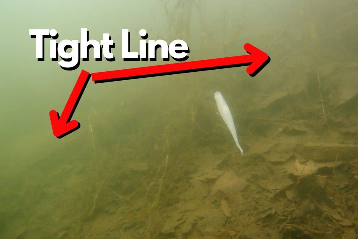 Does Drop Shot Leader Length Matter? Underwater Proof – The Bass ...