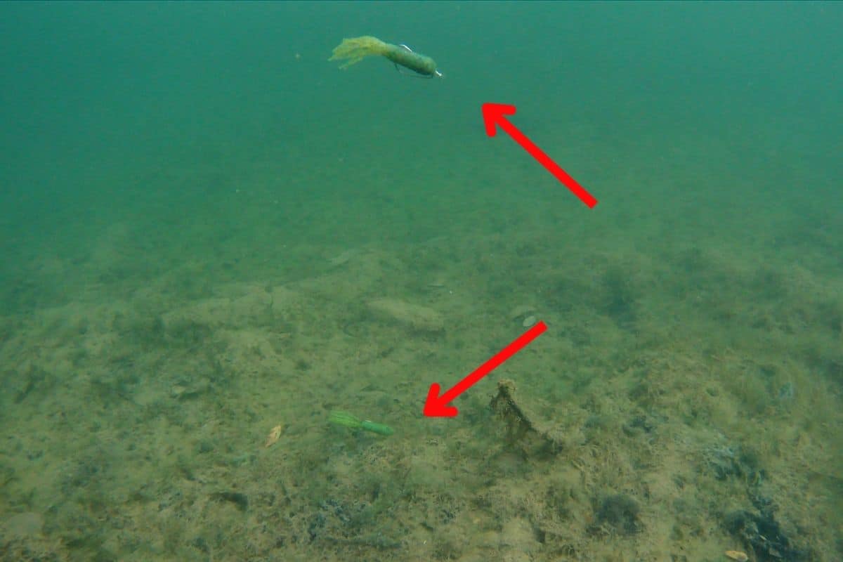How to Rig a Tube Bait – 6 Methods for Success – The Bass Fishing Life