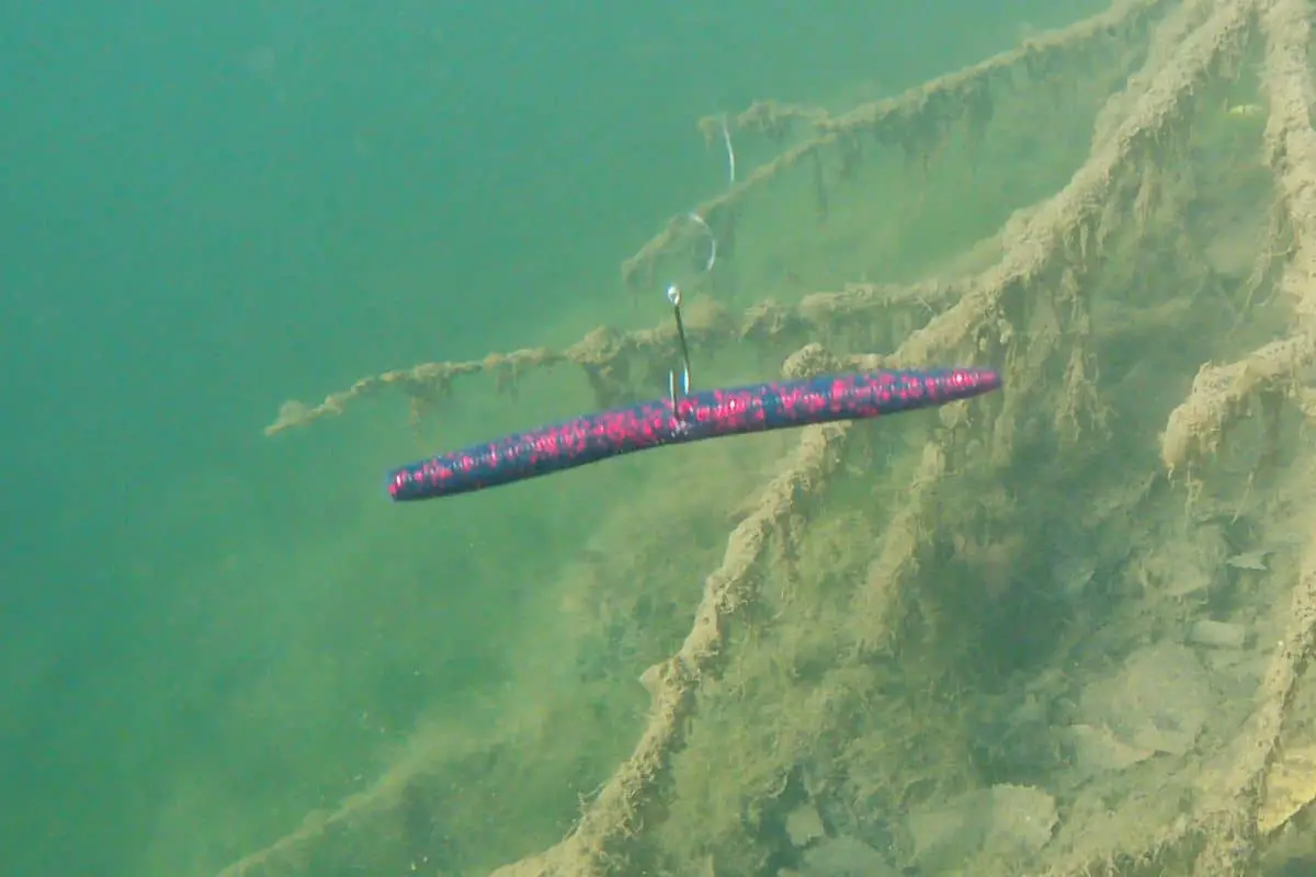 Best Hooks for a Wacky Rig – Complete Guide – The Bass Fishing Life