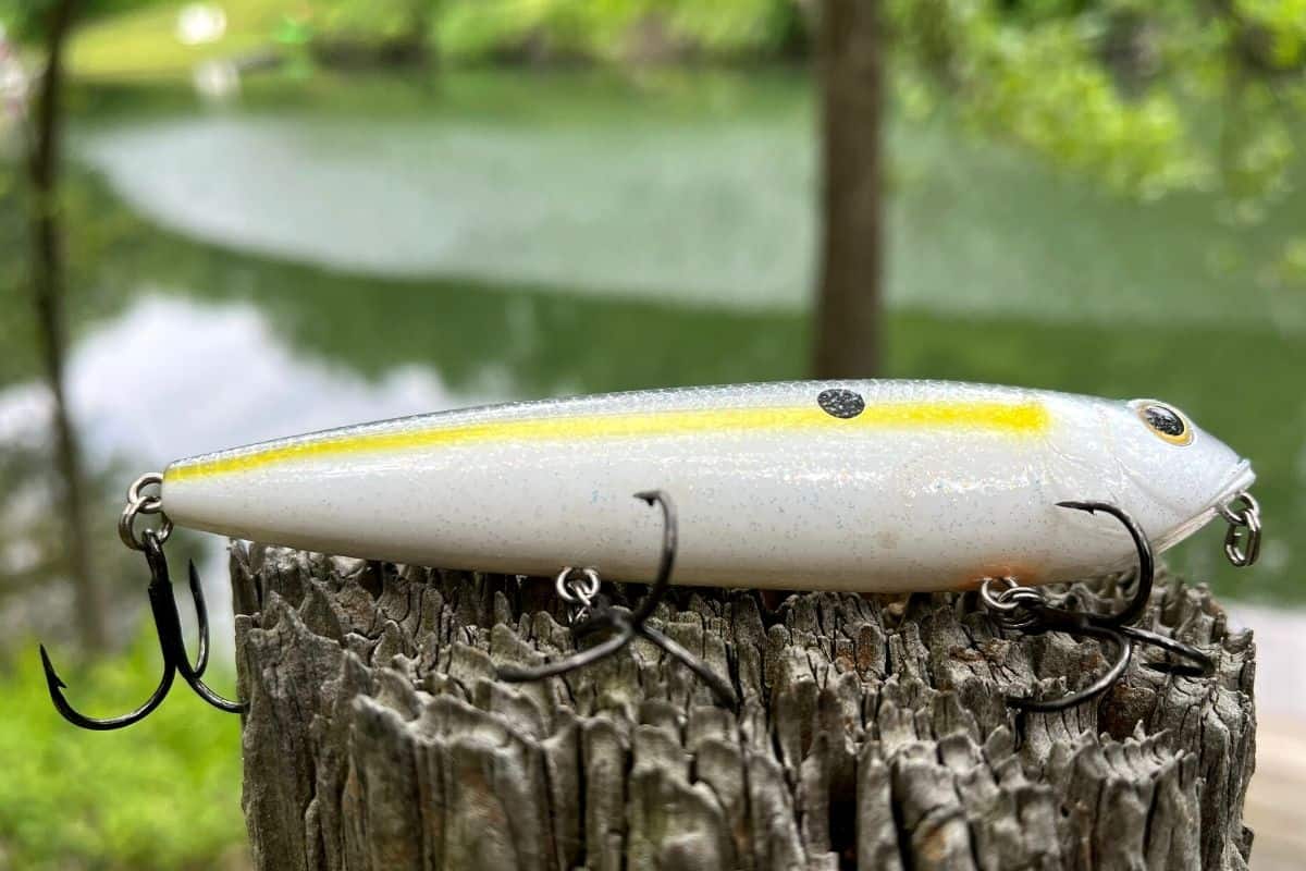 Selecting the Right Topwater Lure – Ultimate Guide – The Bass Fishing Life