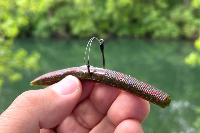 Best Hooks for a Wacky Rig – Complete Guide – The Bass Fishing Life