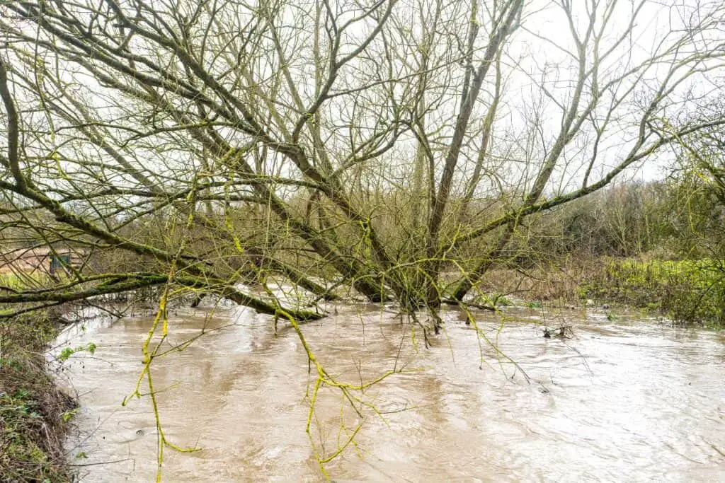 Where do Bass Go When it Floods? Always Look Here – The Bass Fishing Life