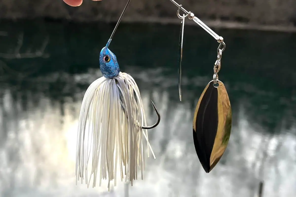 Where Do Bass Go When It’s Windy – Always Look Here! – The Bass Fishing ...