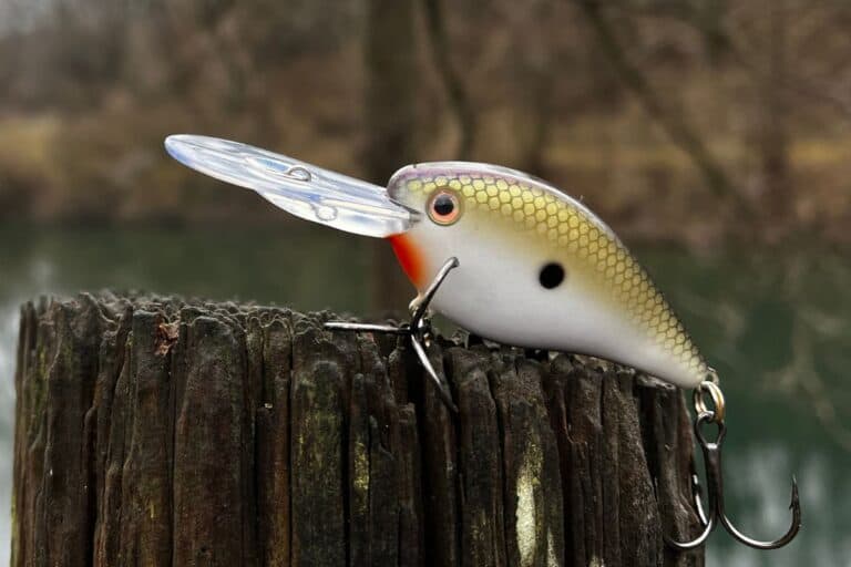 Fix a Crankbait that Runs Crooked – Fast and Easy – The Bass Fishing Life