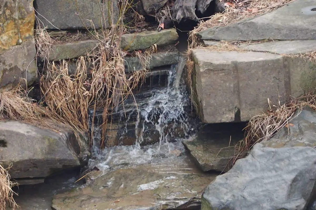 Where Do Bass Go After it Rains? Key Areas to Focus On – The Bass ...