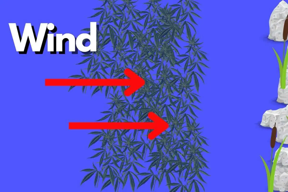 Where Do Bass Go When It’s Windy – Always Look Here! – The Bass Fishing ...