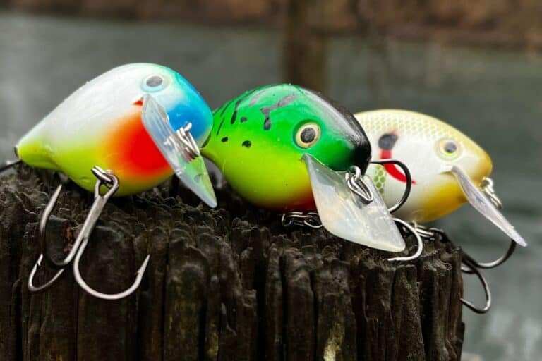 Best Bass Lures? These Won the Most Money in 2022 – The Bass Fishing Life