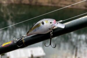 How to Choose a Crankbait Rod – Ultimate Guide – The Bass Fishing Life