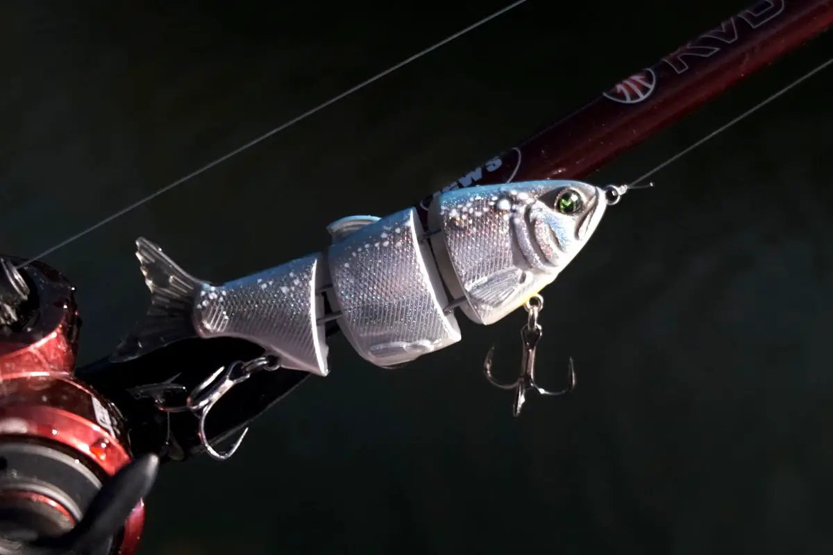 Swim Bait vs. Glide Bait – What’s the Difference? – The Bass Fishing Life